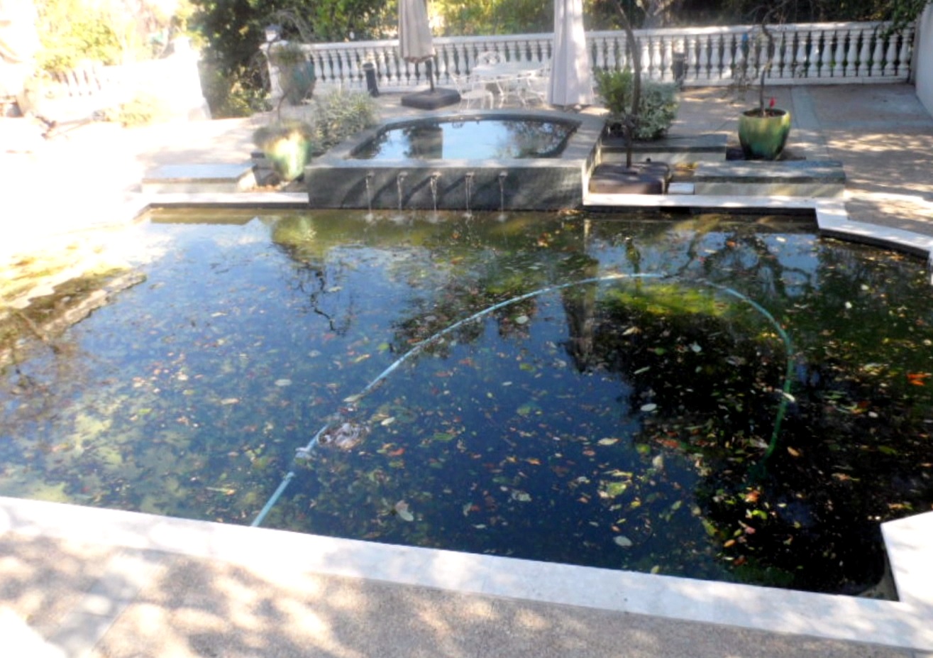 Swimming Pool Tips & Reviews: Cleaning Your Pool After a Wind Storm