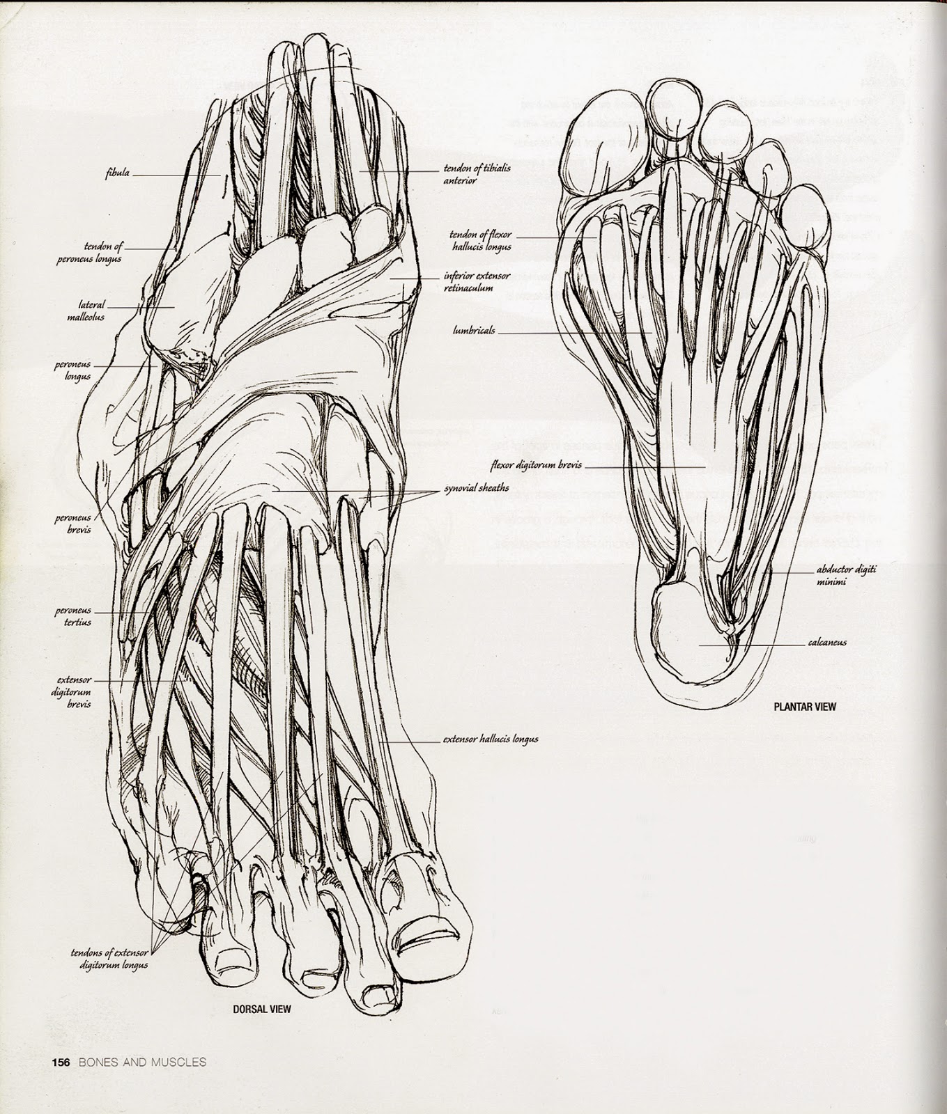 Zachęcam do rysowania: Ręka, stopa