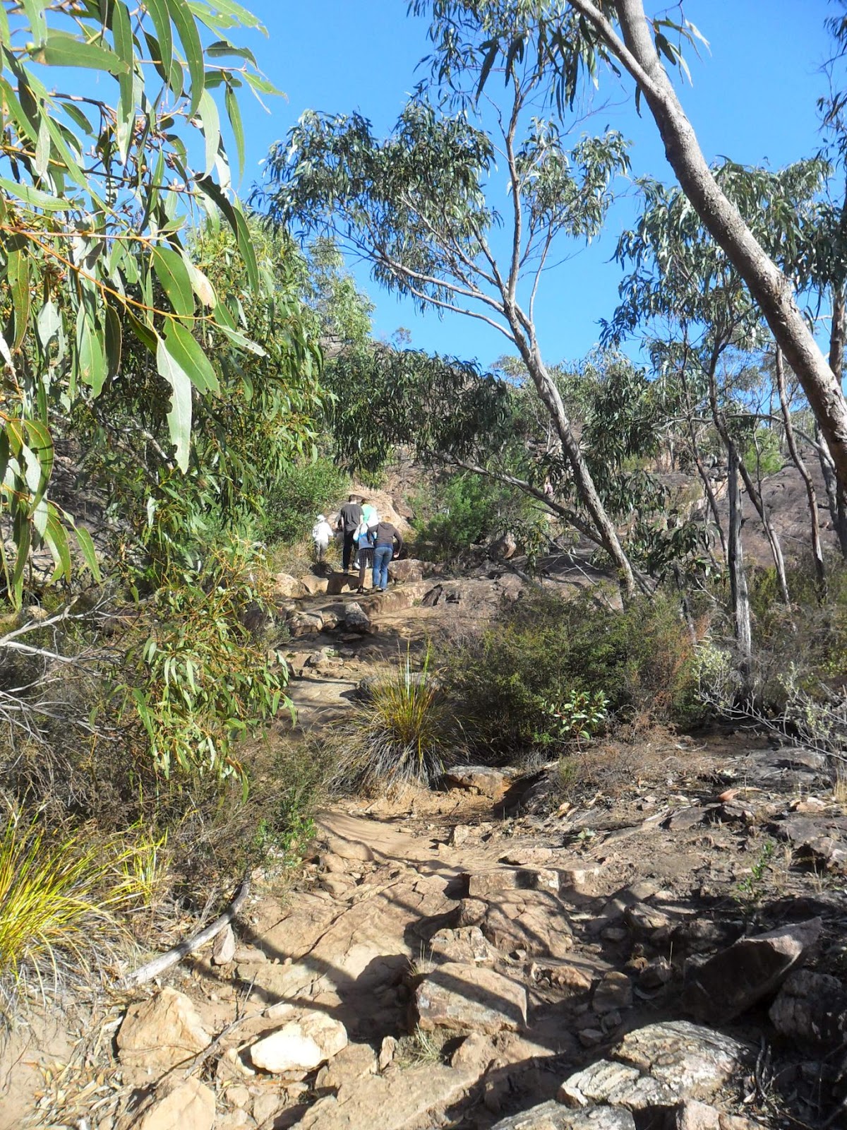 Stay here - Feel far: The Grampians National Park: Mount Zero