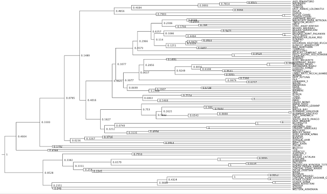 A Global Tree of Languages