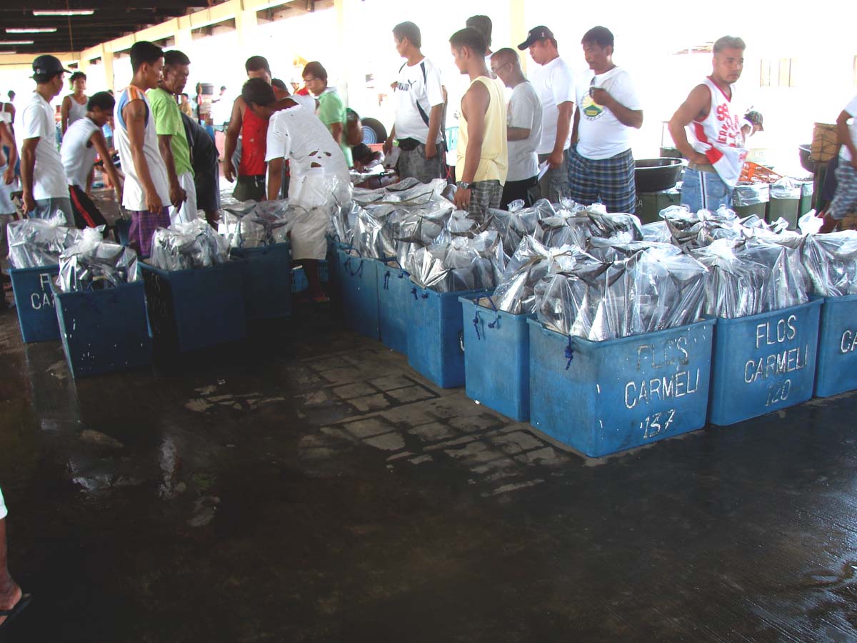 Mambulaoans WorldWide Buzz: Commentary: Falling in love with Mercedes ...