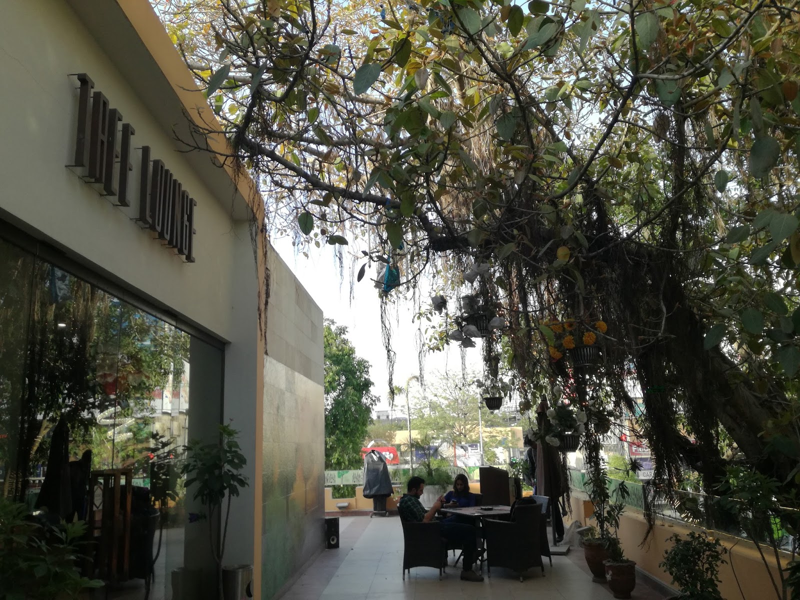 Food Tasting at Tree Lounge Restaurant