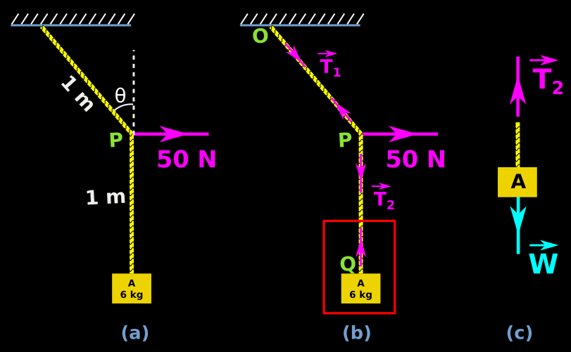 Higher Secondary Physics: Chapter 5.14 - Force in String