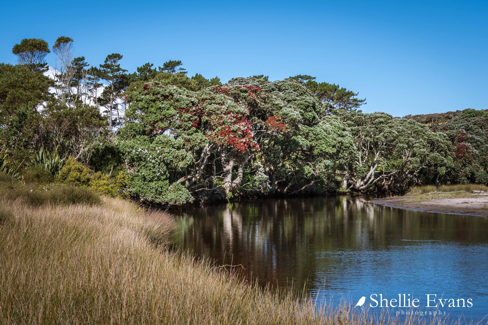 Two Go Tiki Touring: Pink & White.... Beaches