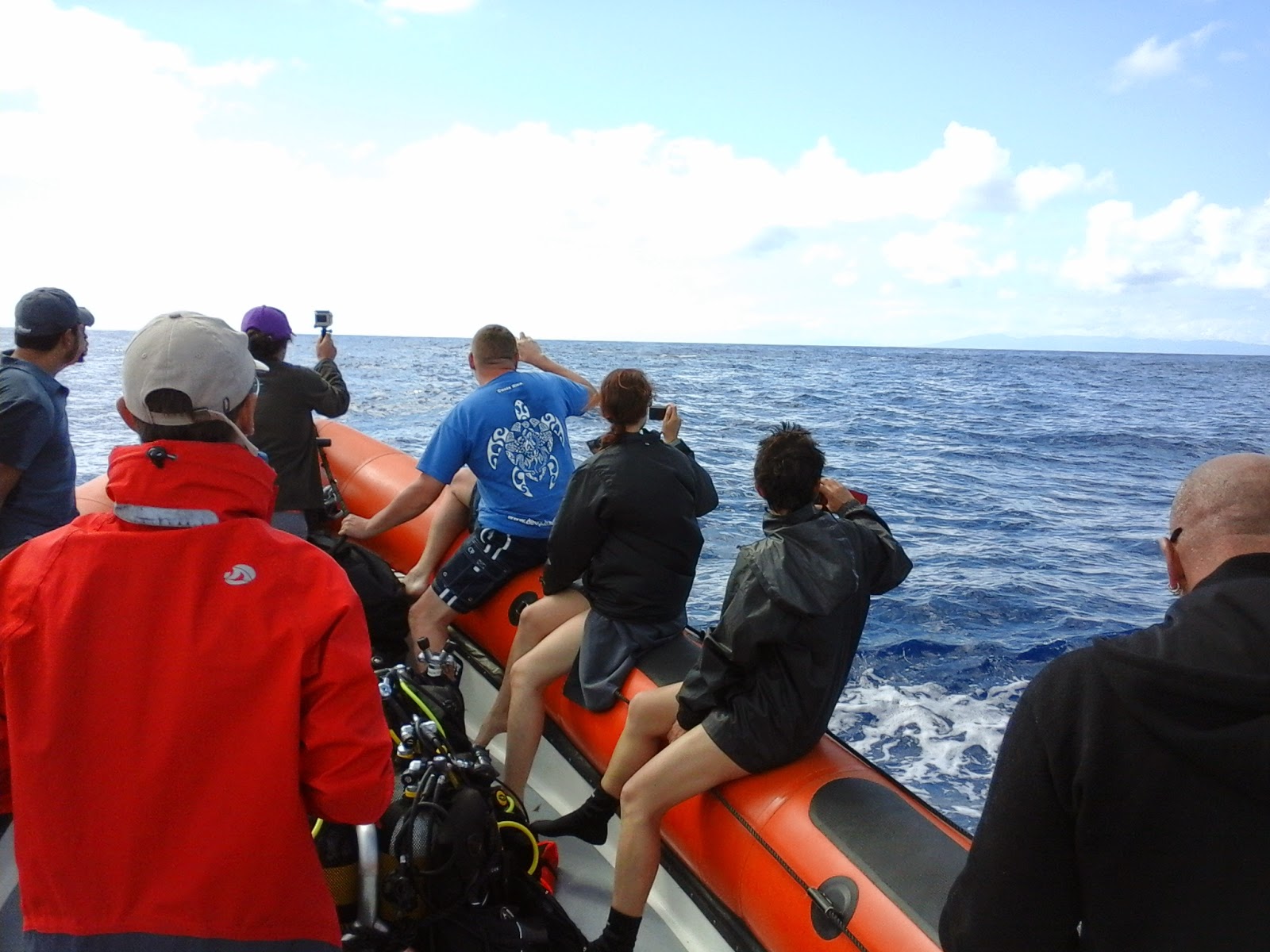 Best Spot Azores PADI 5* Dive Center: Formigas Açores Ponta Delgada ...