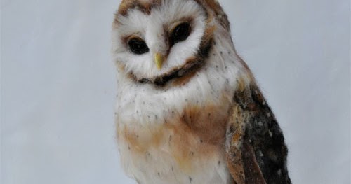 My Owl Barn: Incredibly Realistic Bird Sculptures by Daria Lvovsky