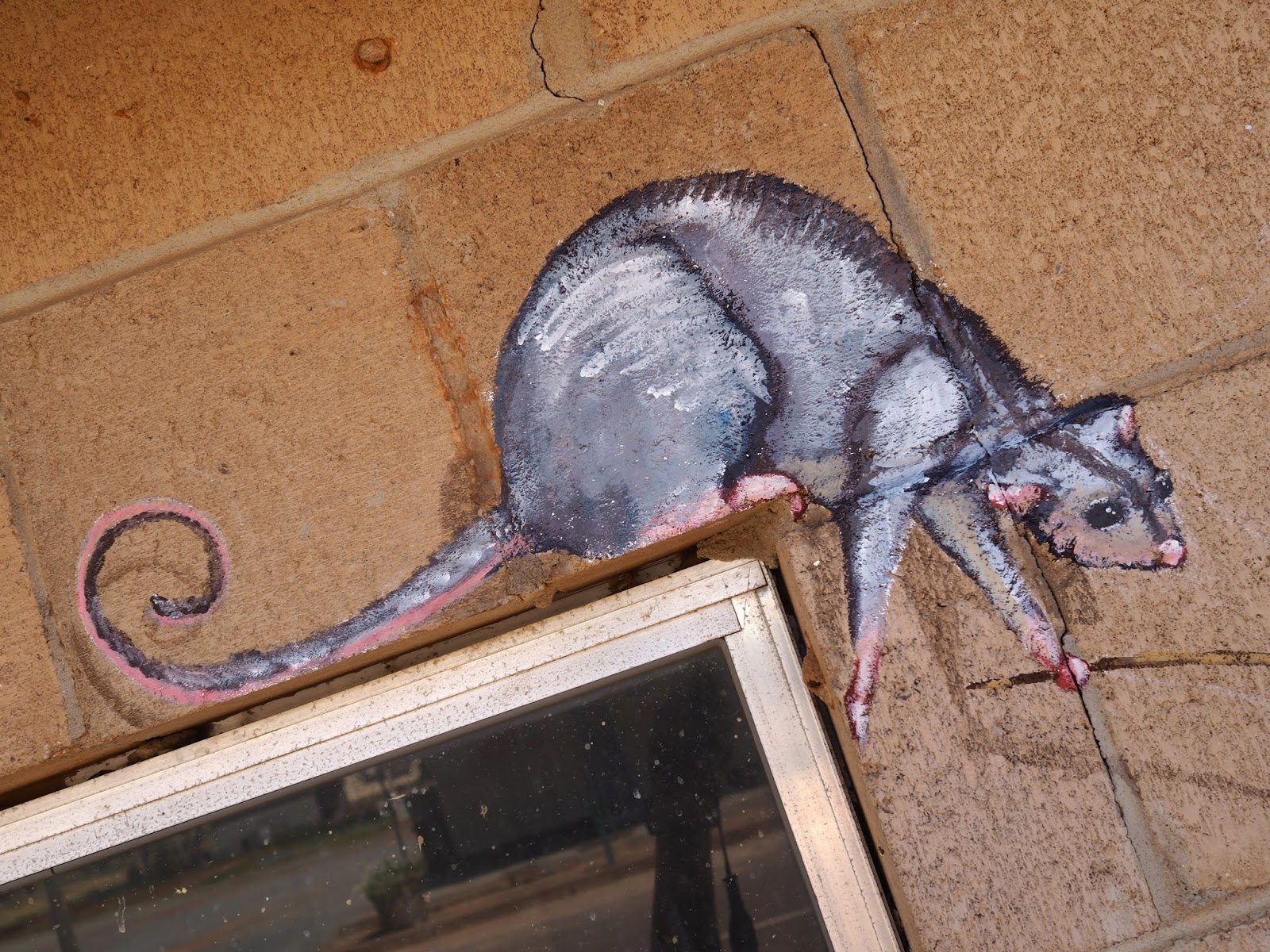 Rob Catterall Illustration