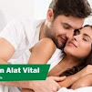Pusat Terapi Pengobatan Tradisional Alat Vital Abah H. Hidayat Aa ...