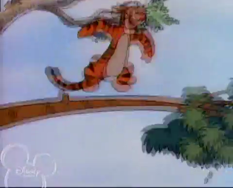 The New Adventures of Winnie The Pooh: Tigger's Shoes