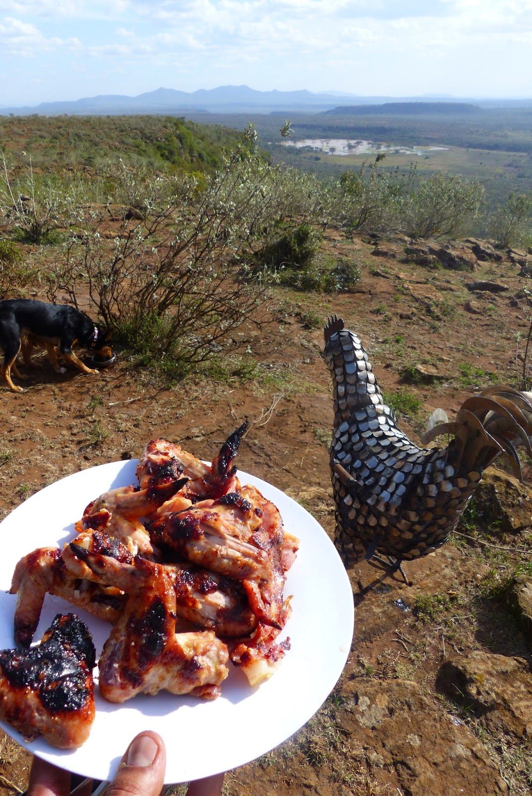 Cookswell Energy Saving Jikos and Charcoal Ovens: The worlds first ...