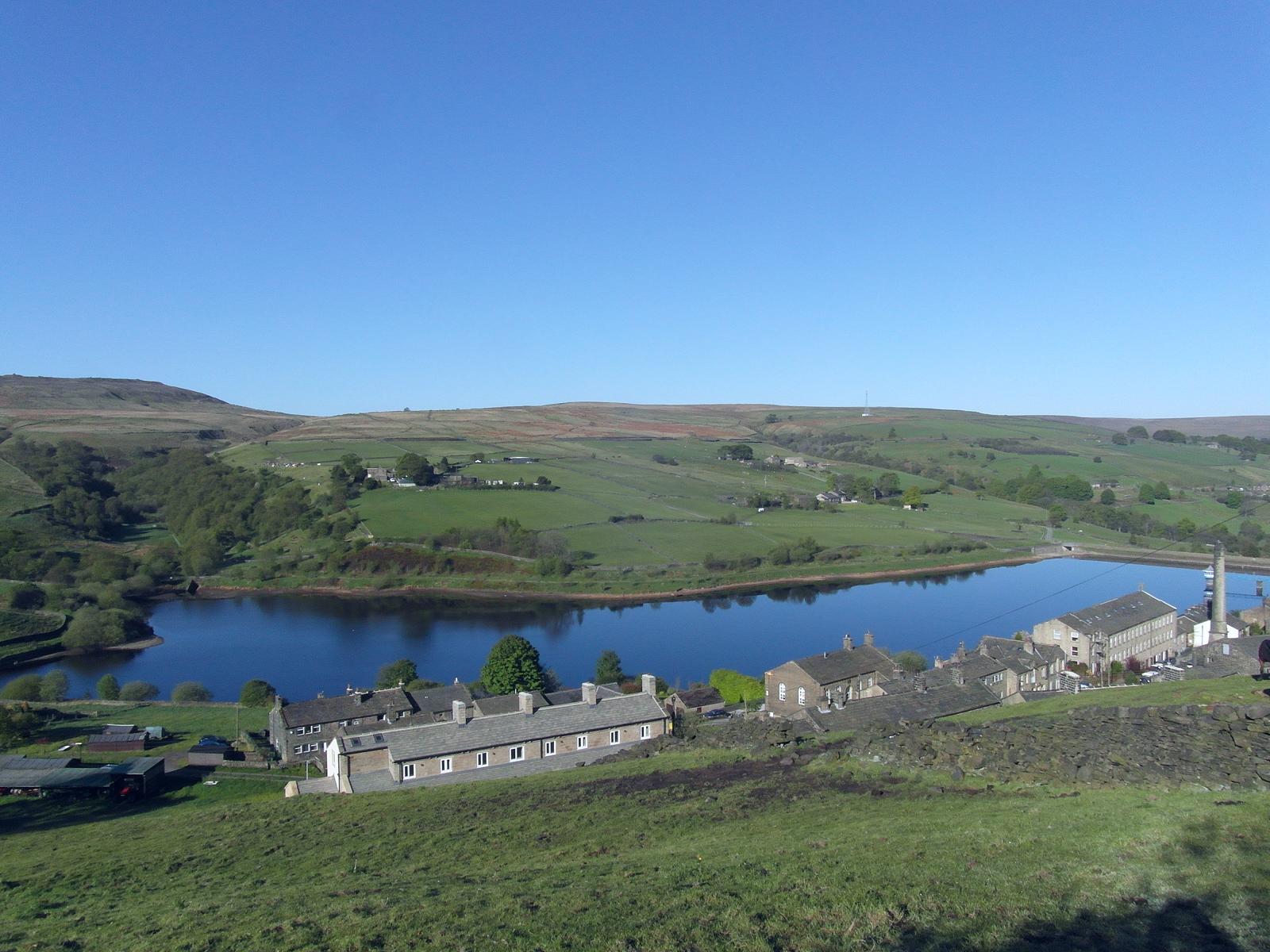 Dannysbirds: Leeming