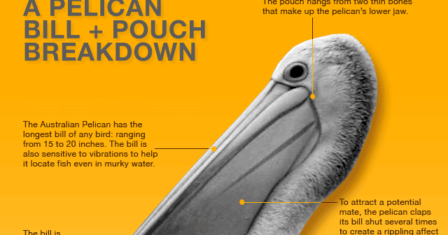 Hepzibah: In Defense of Doggerel