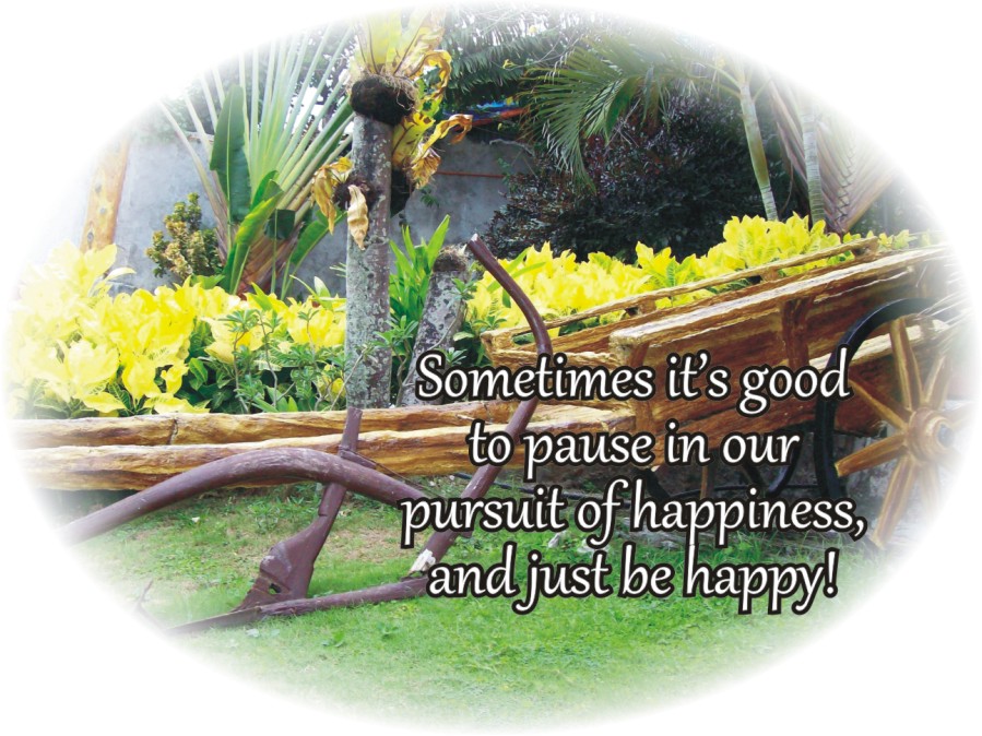 The Vignette Effect | My VA Journal