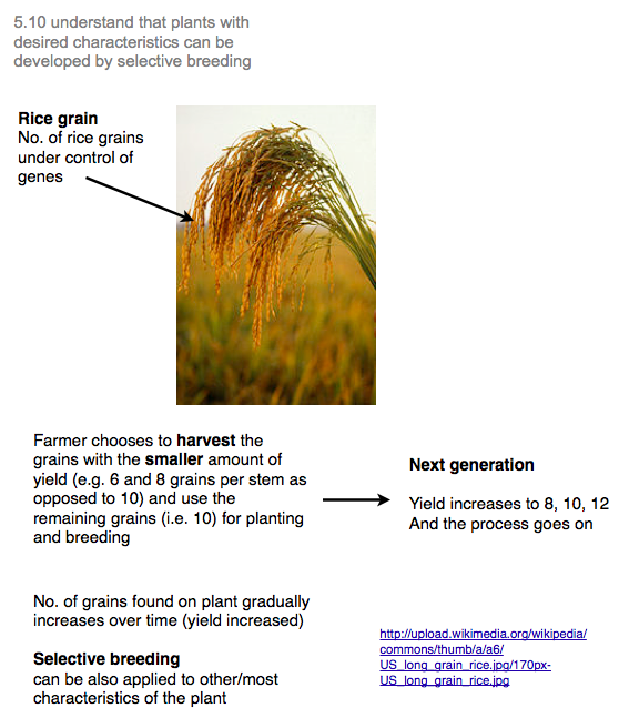 qing's biology blog: February 2012