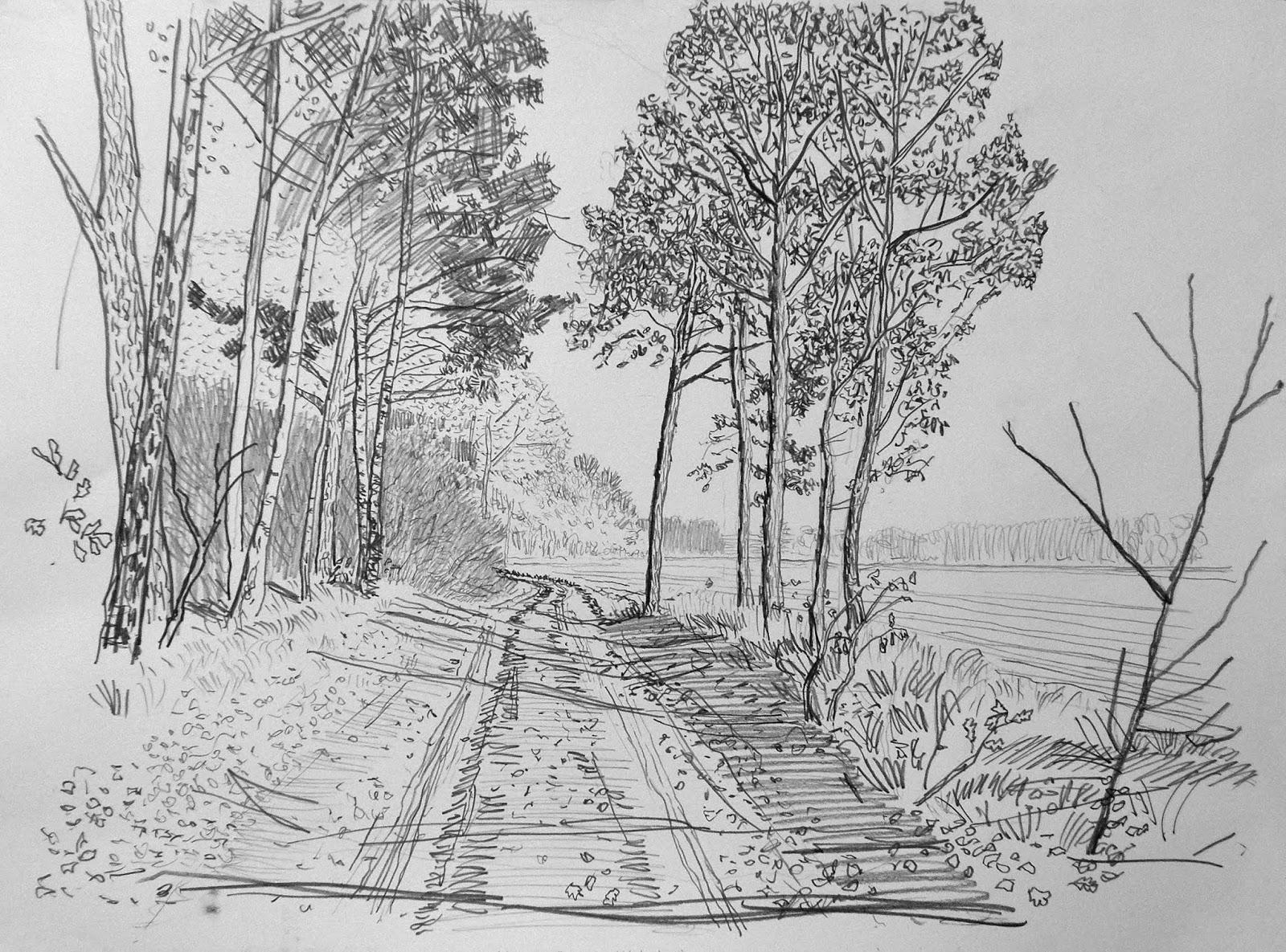 Błażej Tomczak: Rysunki od 2012r.