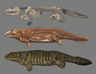 Pietro's Paleoart: Ichthyostega
