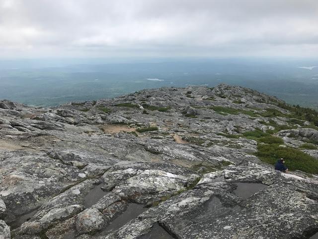 Mt Monadnock Monadnock State Park (NH, 52wav) - TrailsNH Hiking Conditions
