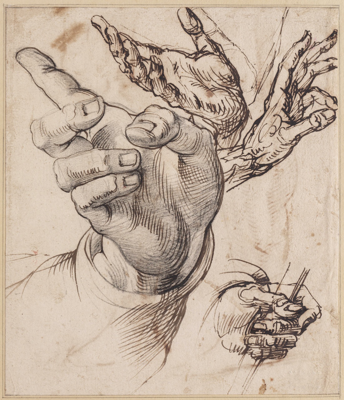 Spencer Alley: Italian Drawings at Teylers Museum, Haarlem