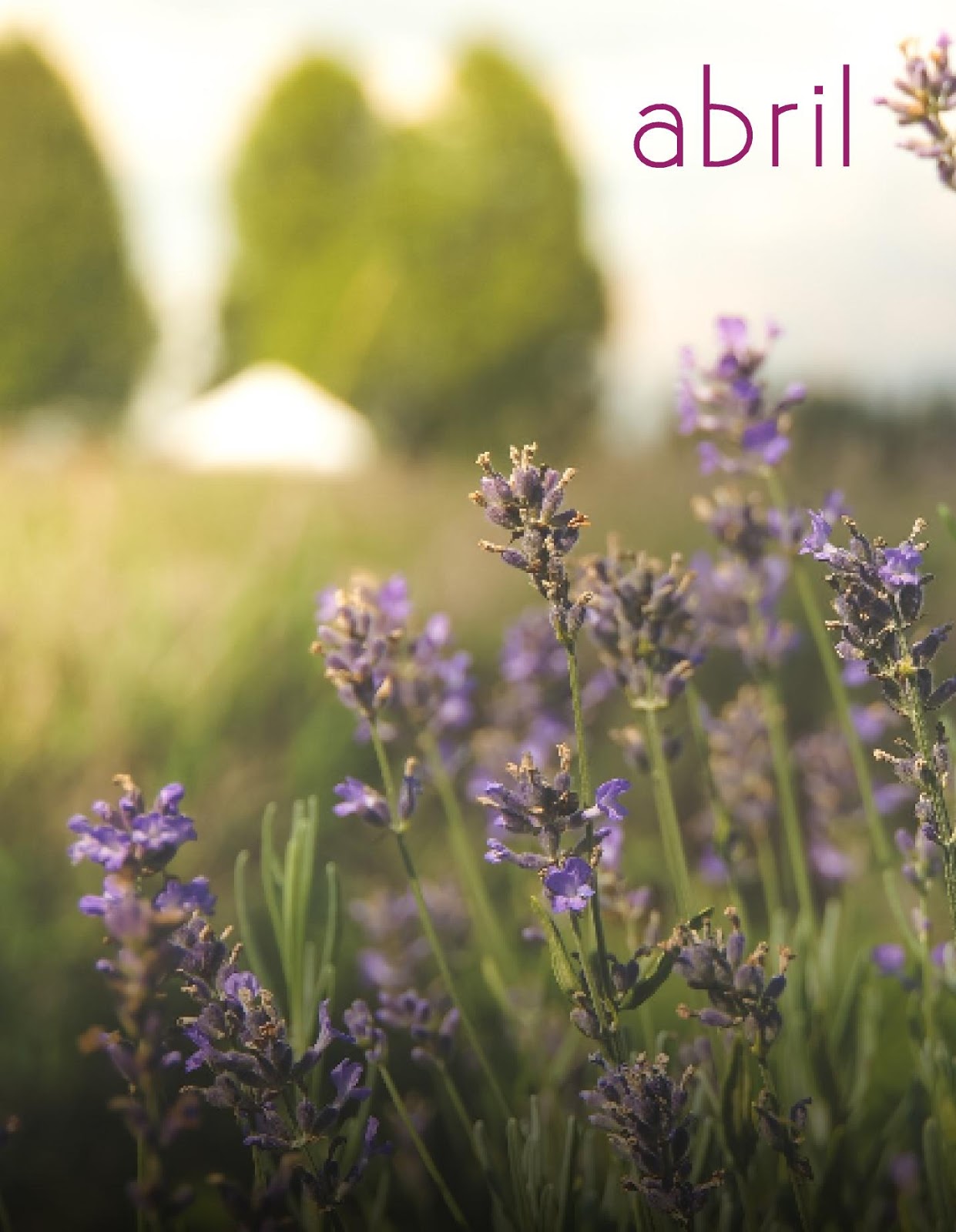 Quatre Fulles: abril 2017