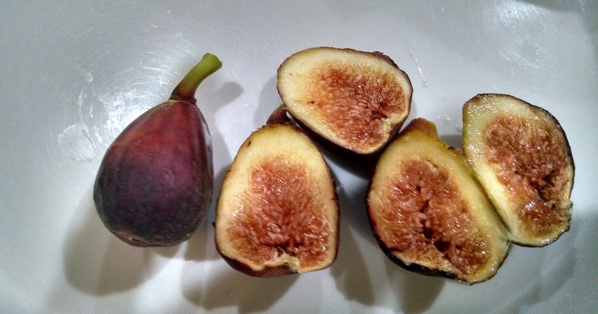 Desert Valley Orchard: Petite Negra Fig
