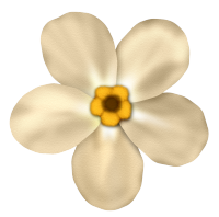 Flores colores cremas variados | Arte digital