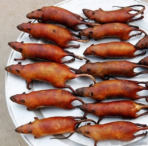 Tikus adalah makanan paling Lazat di Vietnam ~ Halimislam Online