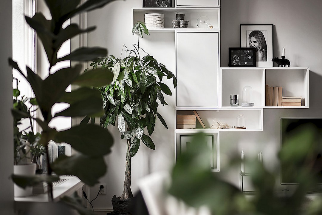 découvrir l'endroit du décor : PROFUSION DE PHOTOS