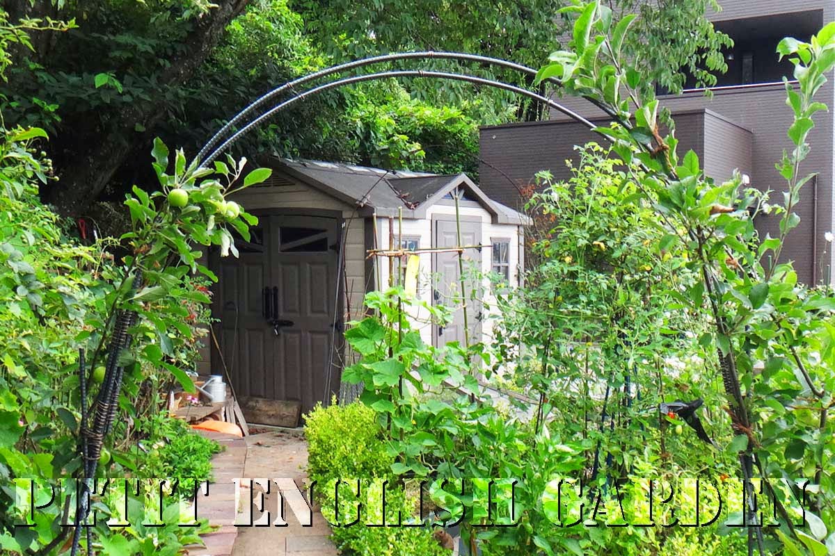 Petit English Garden of MARPLE & POIROT: A NEW WIRE ARCH FOR APPLE