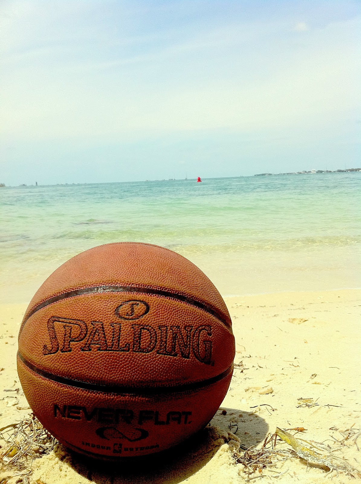 Tim Charron : Rock and Roll Gypsy: Basketball beach, Margaritaville ...