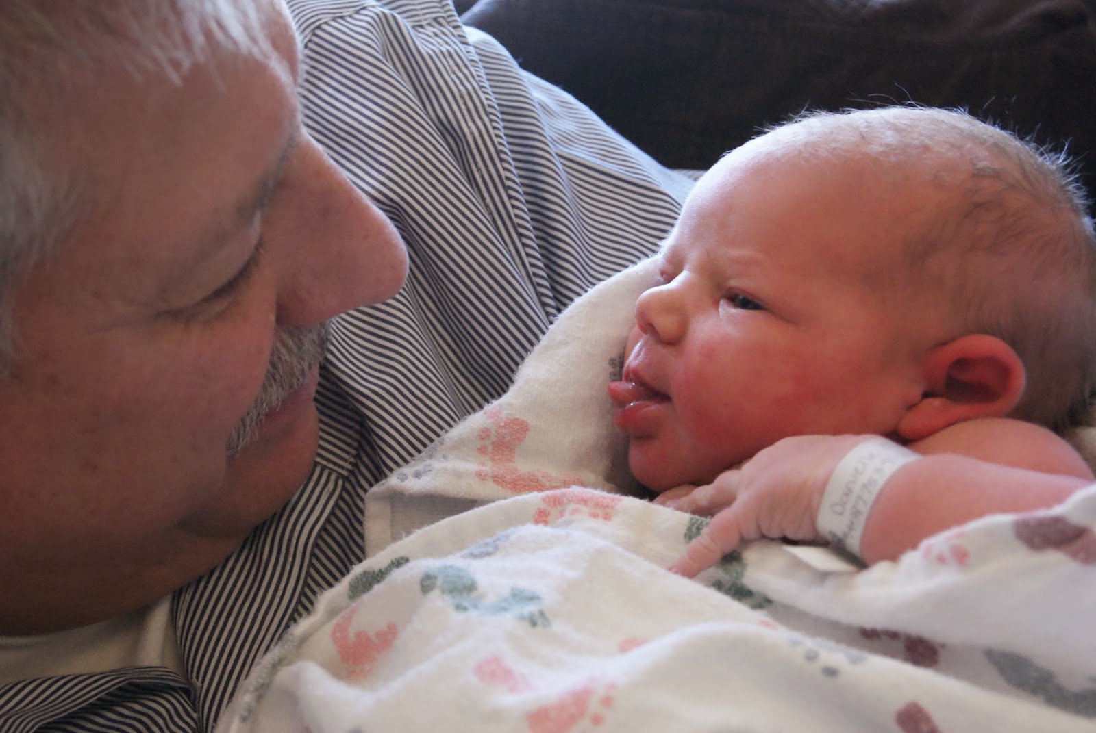 Meet the Marlowes: Whirlwind of Wonder