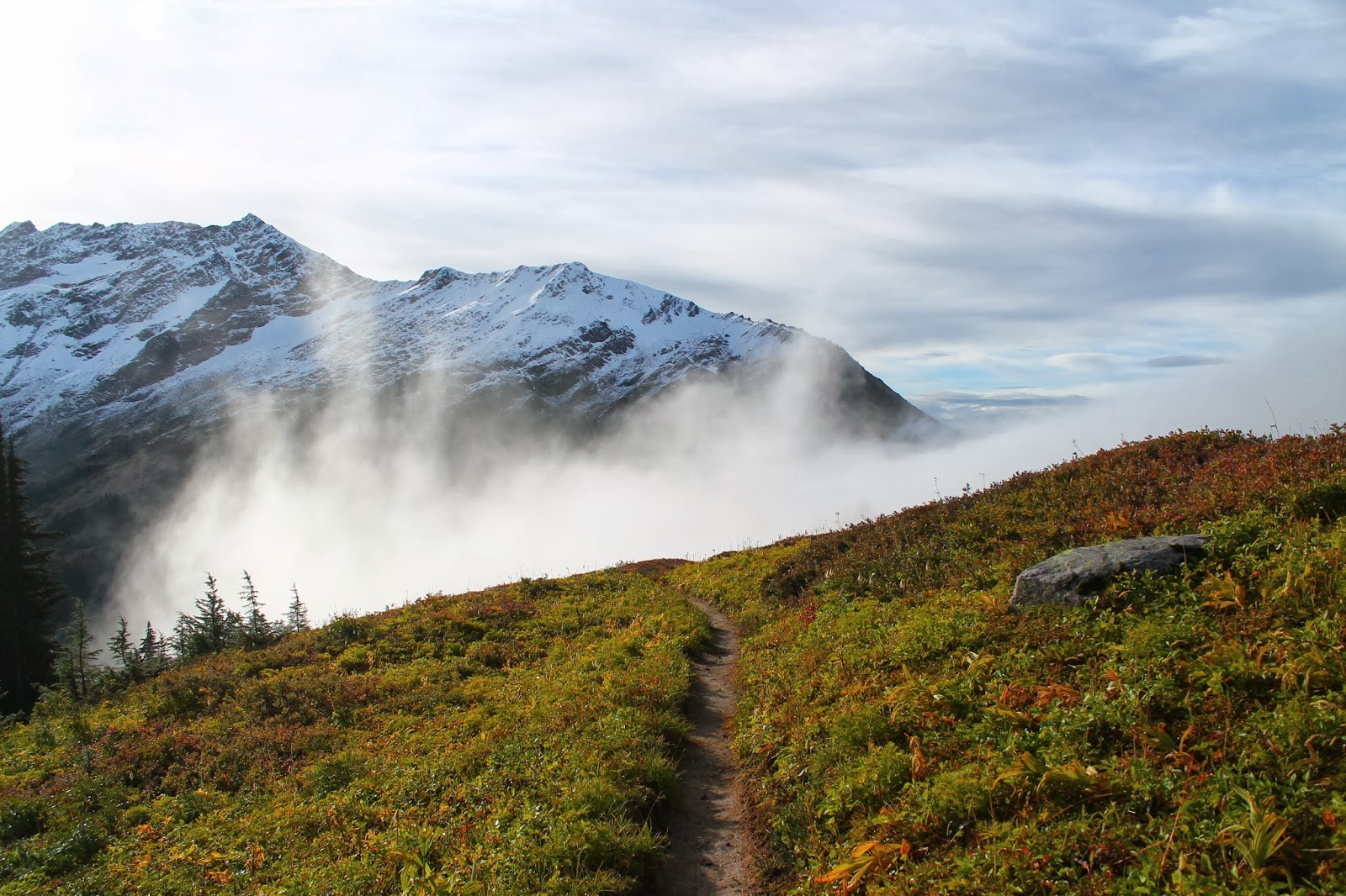 IN THESE WOODS: DAY 158: SNOW AND MUD