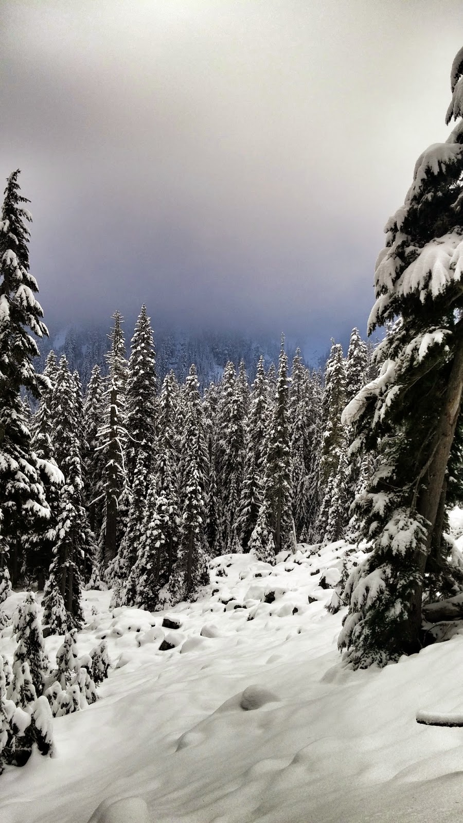Hiking in the Pacific Northwest: Snow lake hike 12/02/14