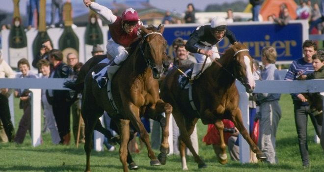 Horse racing: June 2013