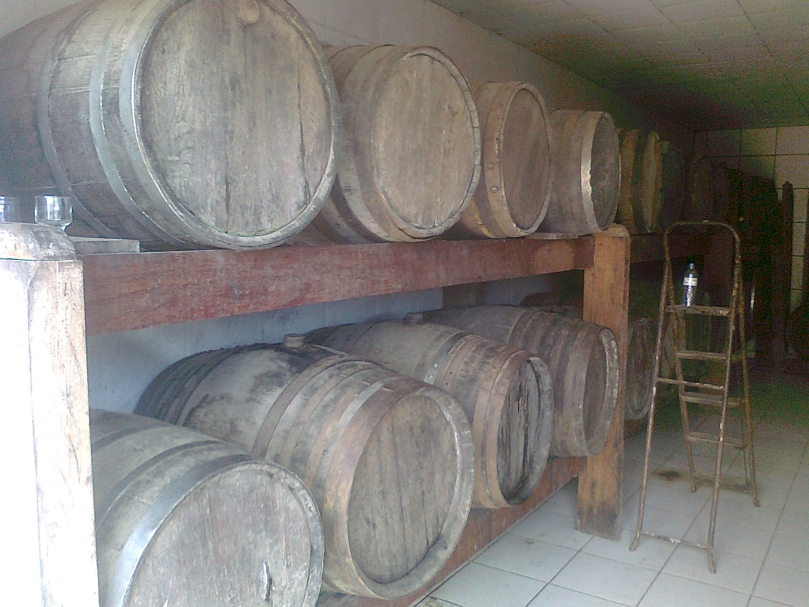 Feudalismo Atual!!!: TONÉIS DE CARVALHO