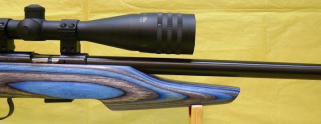 Armi usate web portal: CZ 455 EVOLUTION CAL.22LR