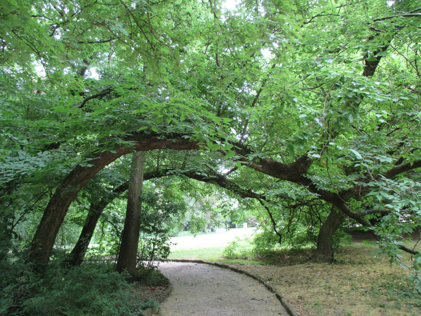 A békesség szigete: Reviczky Gyula: Tartsatok bűnbánatot!