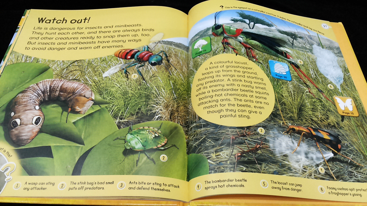 Kid Books Blog: 292.Insects and minibeasts