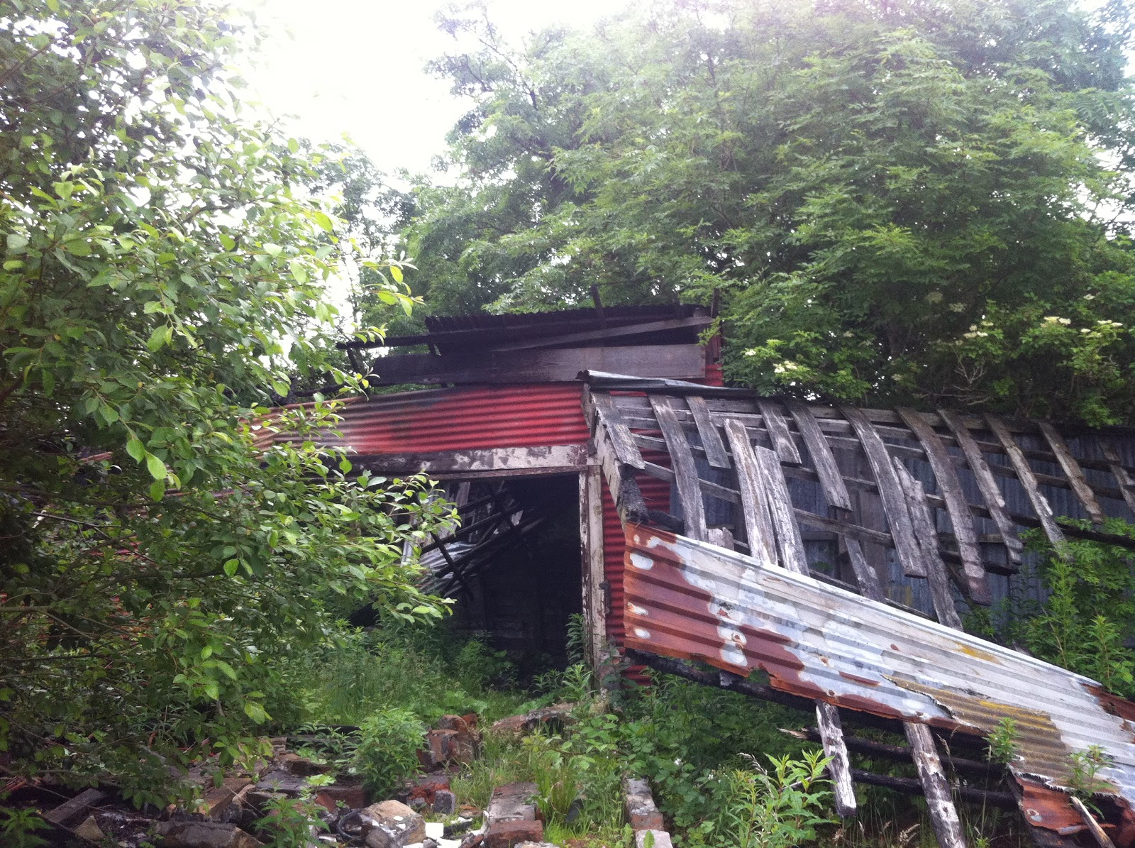 Visions of a Madman: In Ruins: Abandoned Houses in Carmyle
