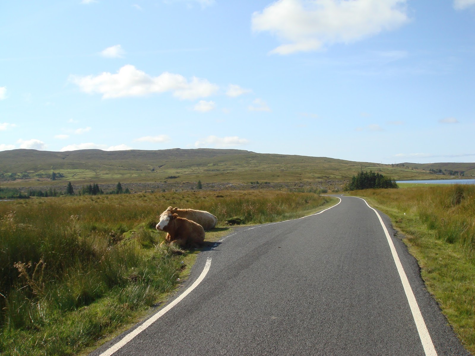 Cycling Meditations: Travelling the Old Largs Road: Drumfrochar to ...