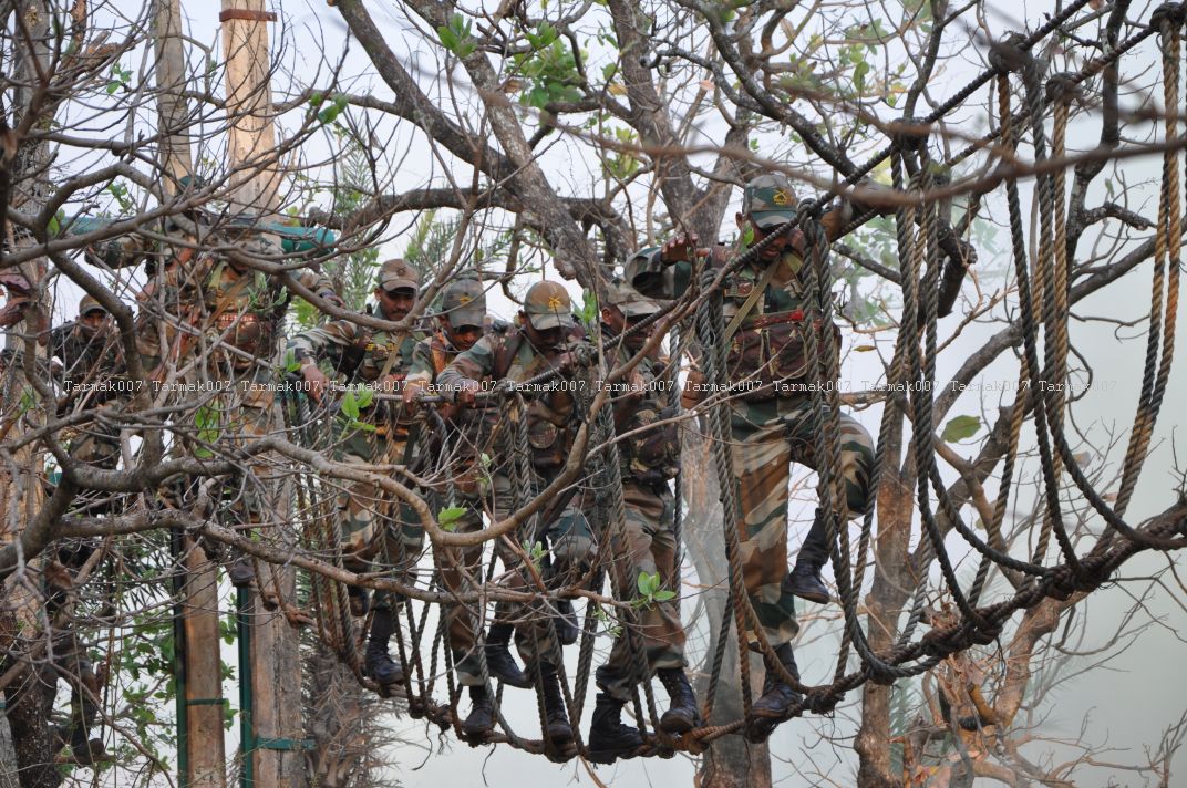 Tarmak007 -- A bold blog on Indian defence: Close Combat-3 | Jungle ...
