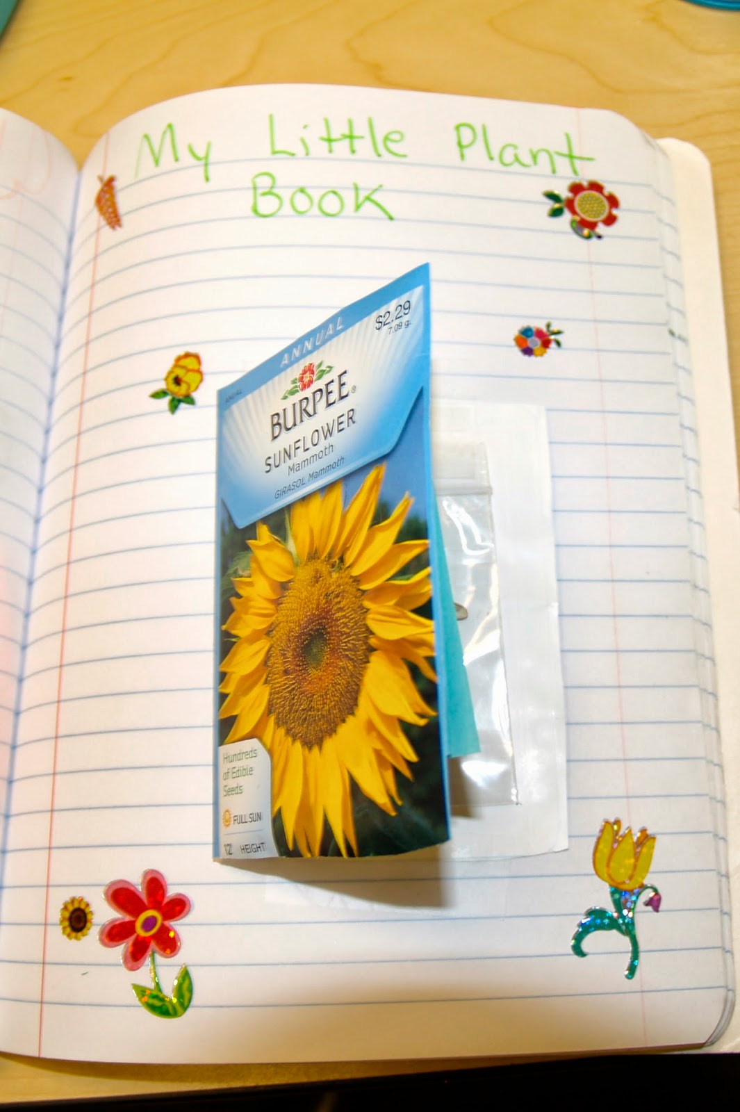 Seed Book out of a Seed Packet-Great Idea for Interactive Notebooks ...