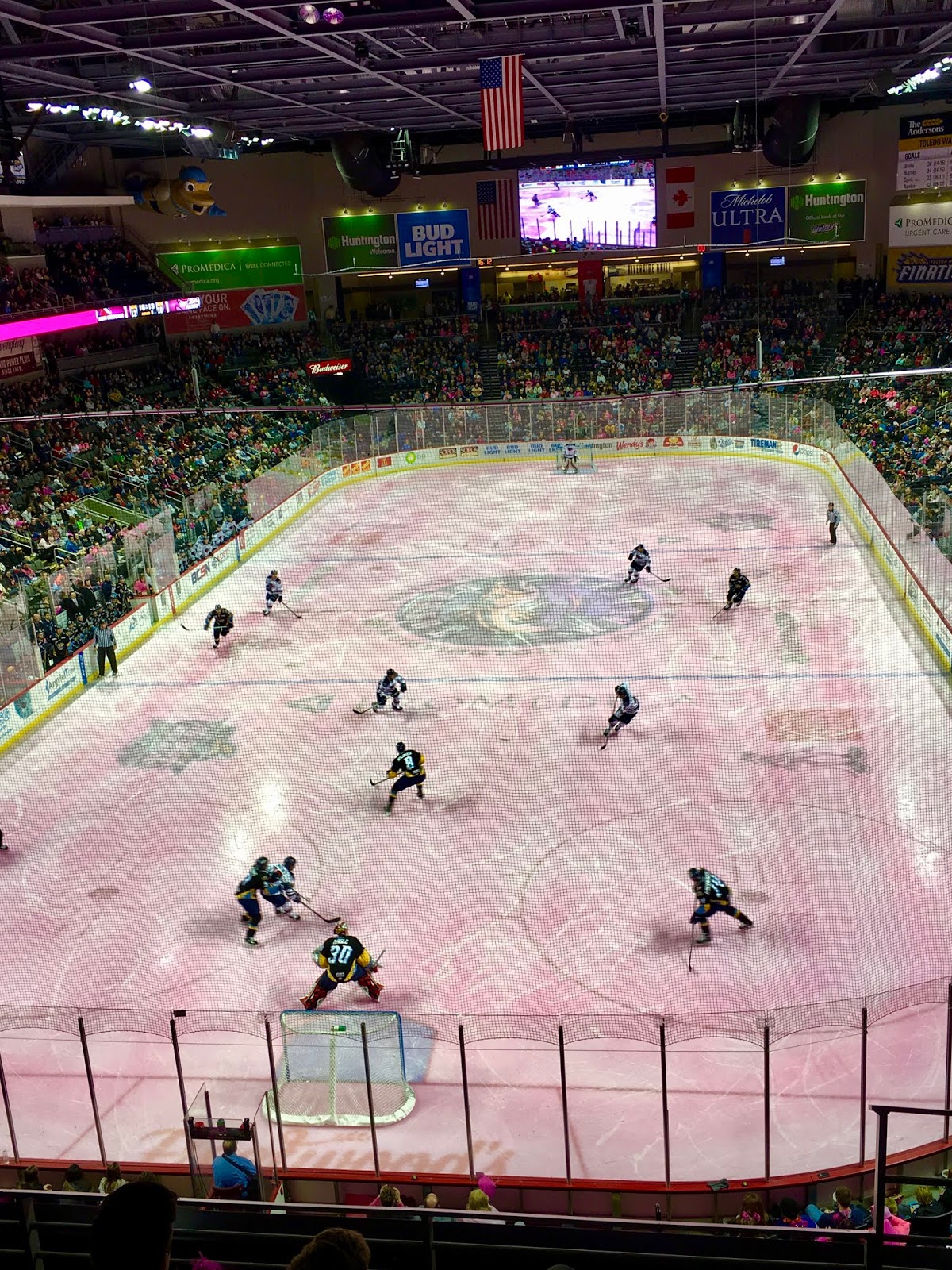Triple Negative Breast Cancer, "I Won't Back Down!": Toledo Walleye ...
