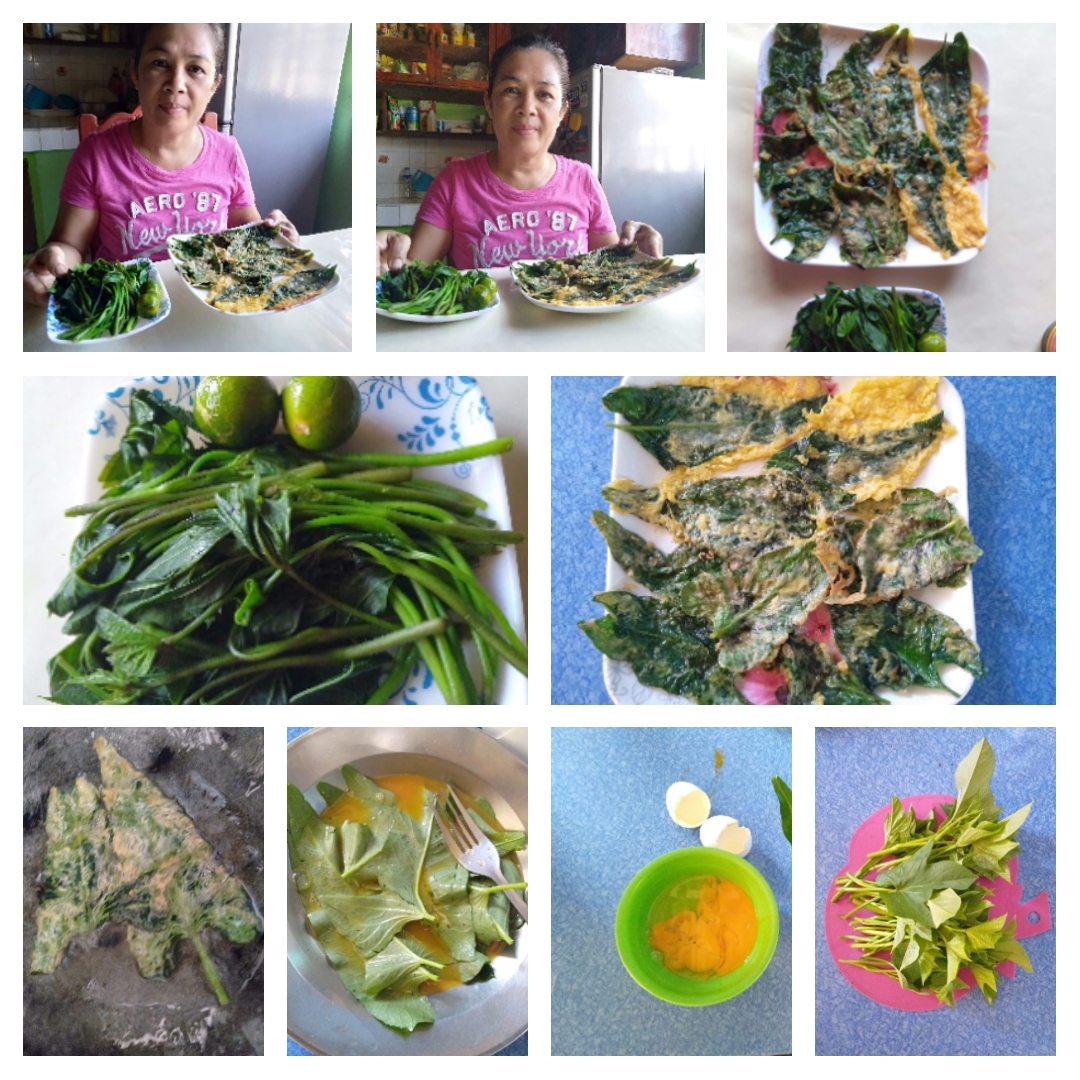 Ibat Ibang Uri Ng Dahon - mga paksa