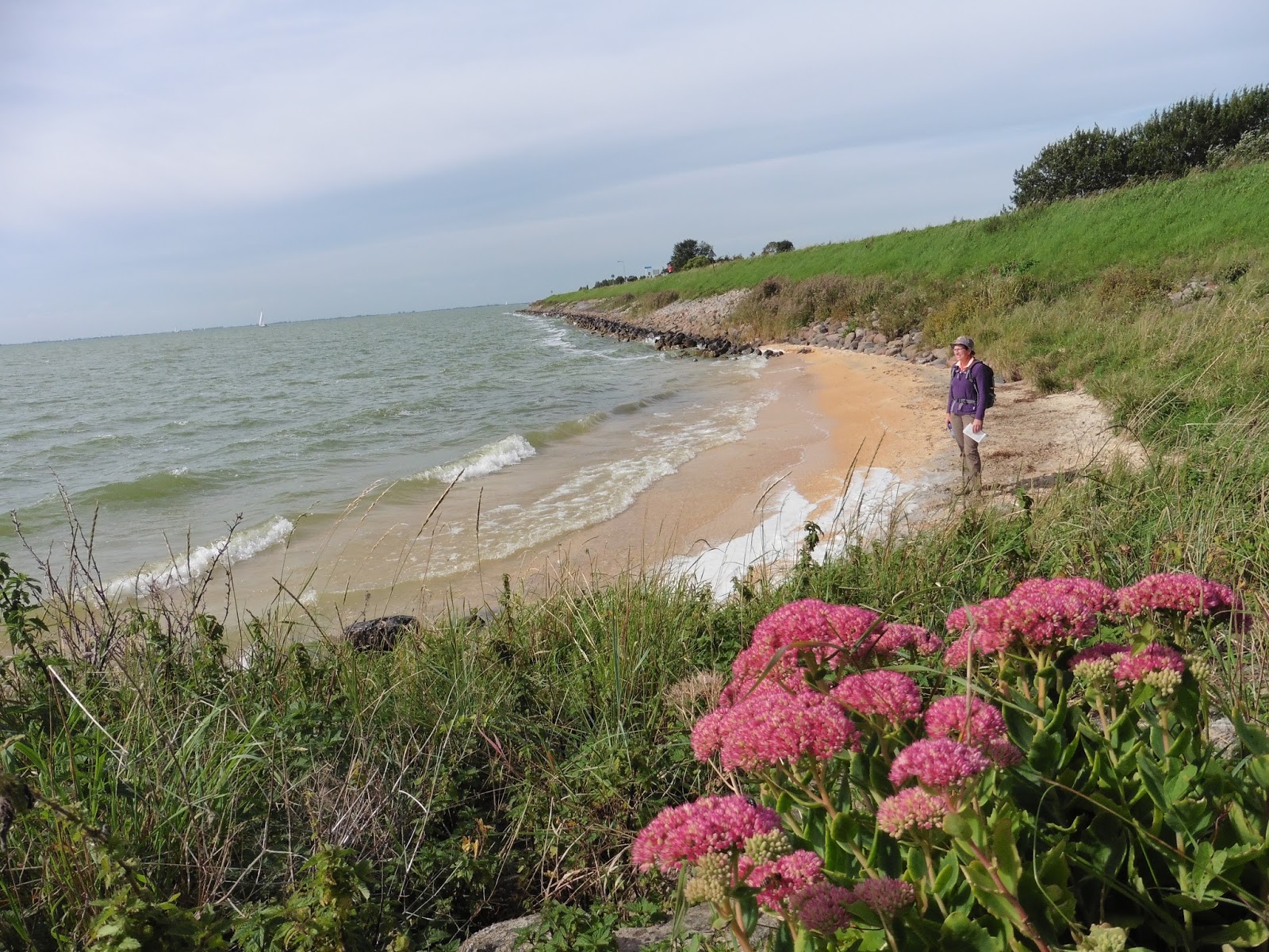 Wiep Koehoorn: Zuiderzeepad van Enkhuizen naar Hoorn