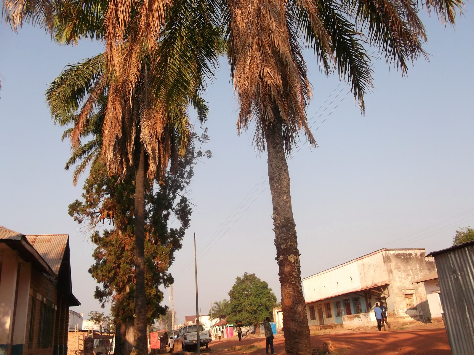 Kolwezi Realnews: DILOLO, LA POPULATION SE SENT ABANDONNEE