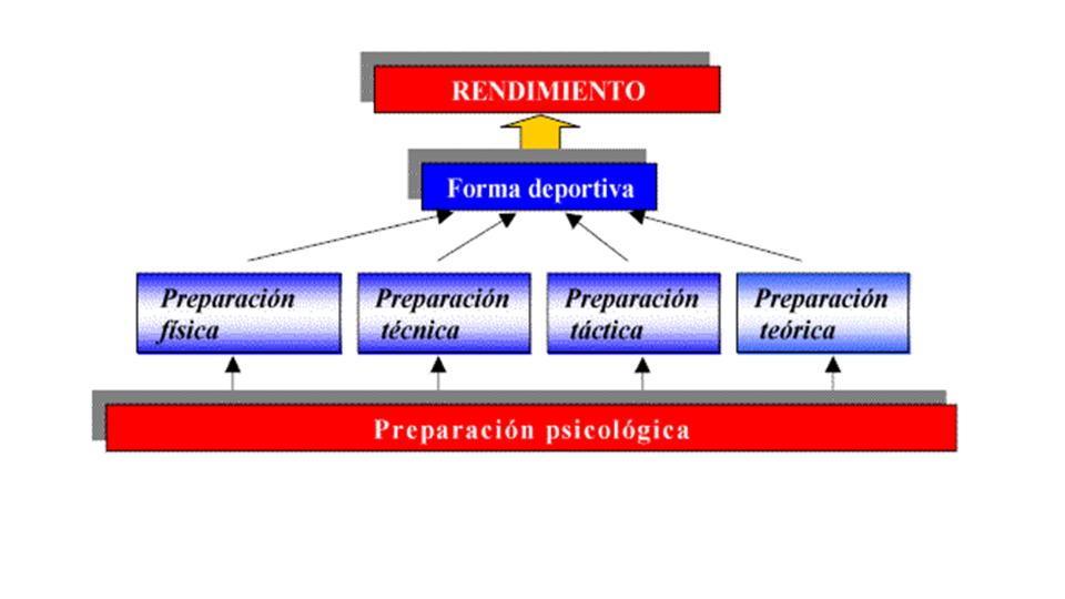 LÓGICA INTERNA DEL FUTBOL