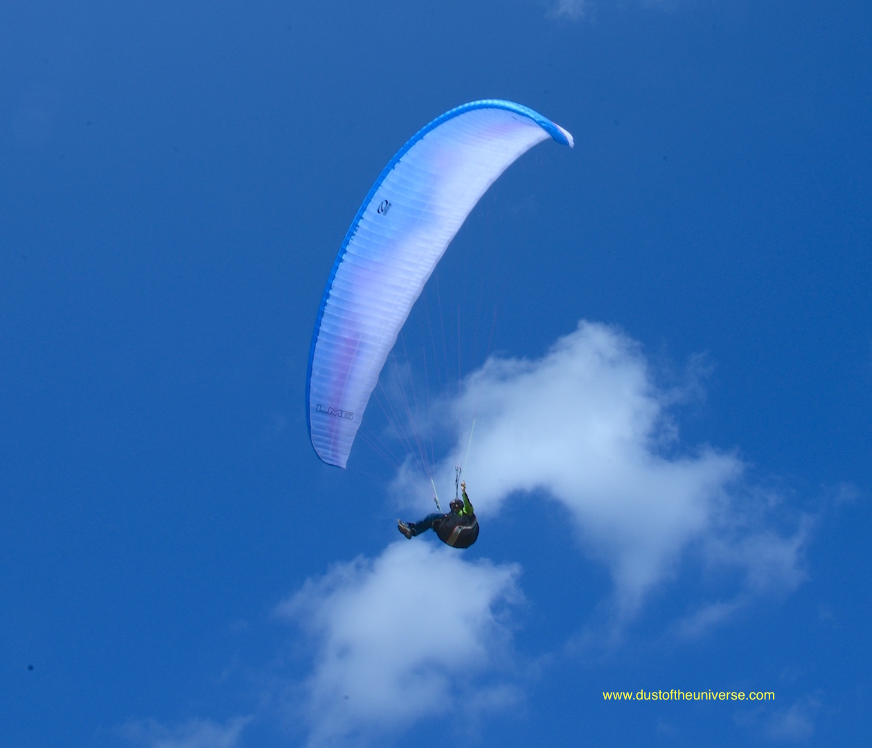 Dust of the universe: Ozone LM 6