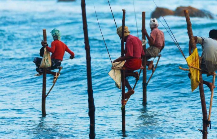 Stilt Fishing - Sri Lankan tradition of all time - Contourline Travels ...
