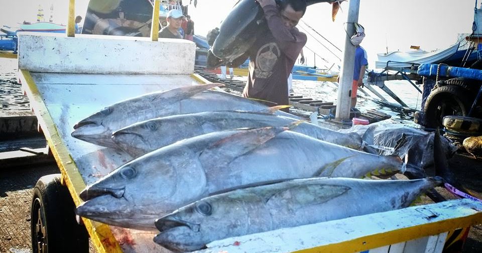 Tuna Festival 2017: A PEACEtival of Fun Schedule of Activities ...