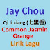 Lirik Lagu Qi Li Xiang (七里香) Common Jasmin Orange